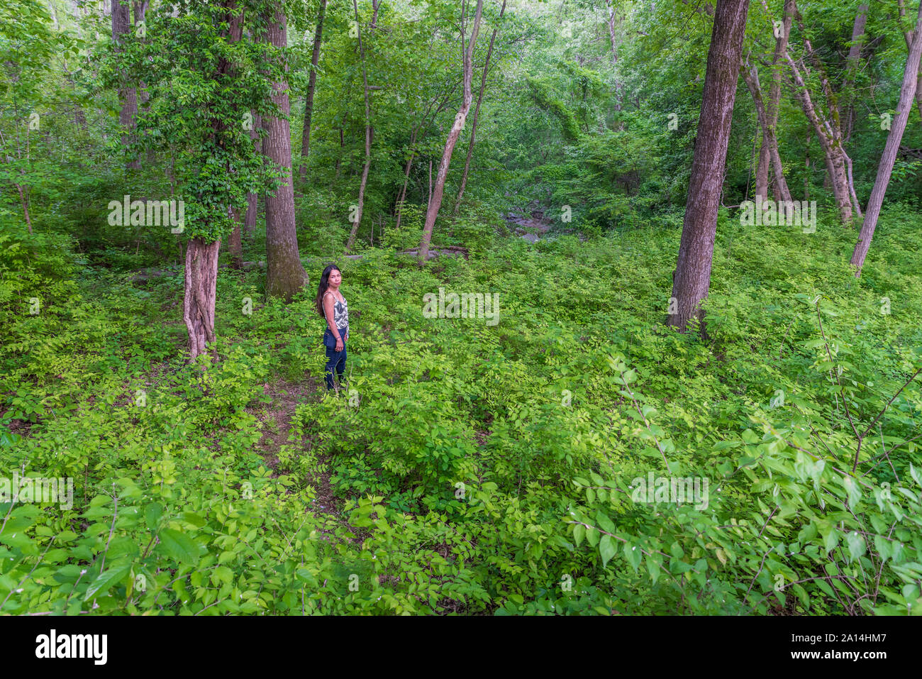 Asian woman standing in forest surrounded by bushes and trees at ...