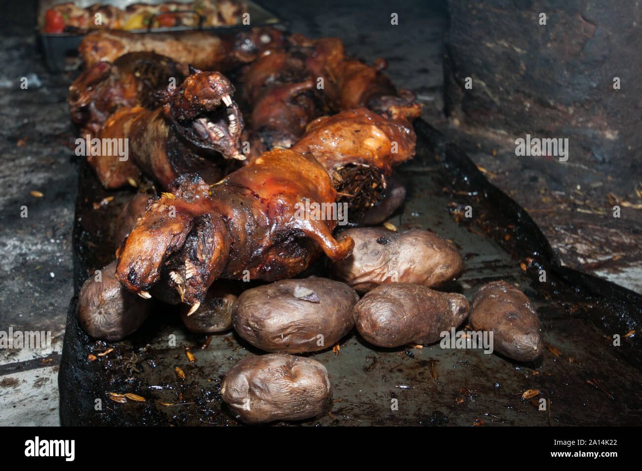 Cuy peru hi-res stock photography and images - Alamy