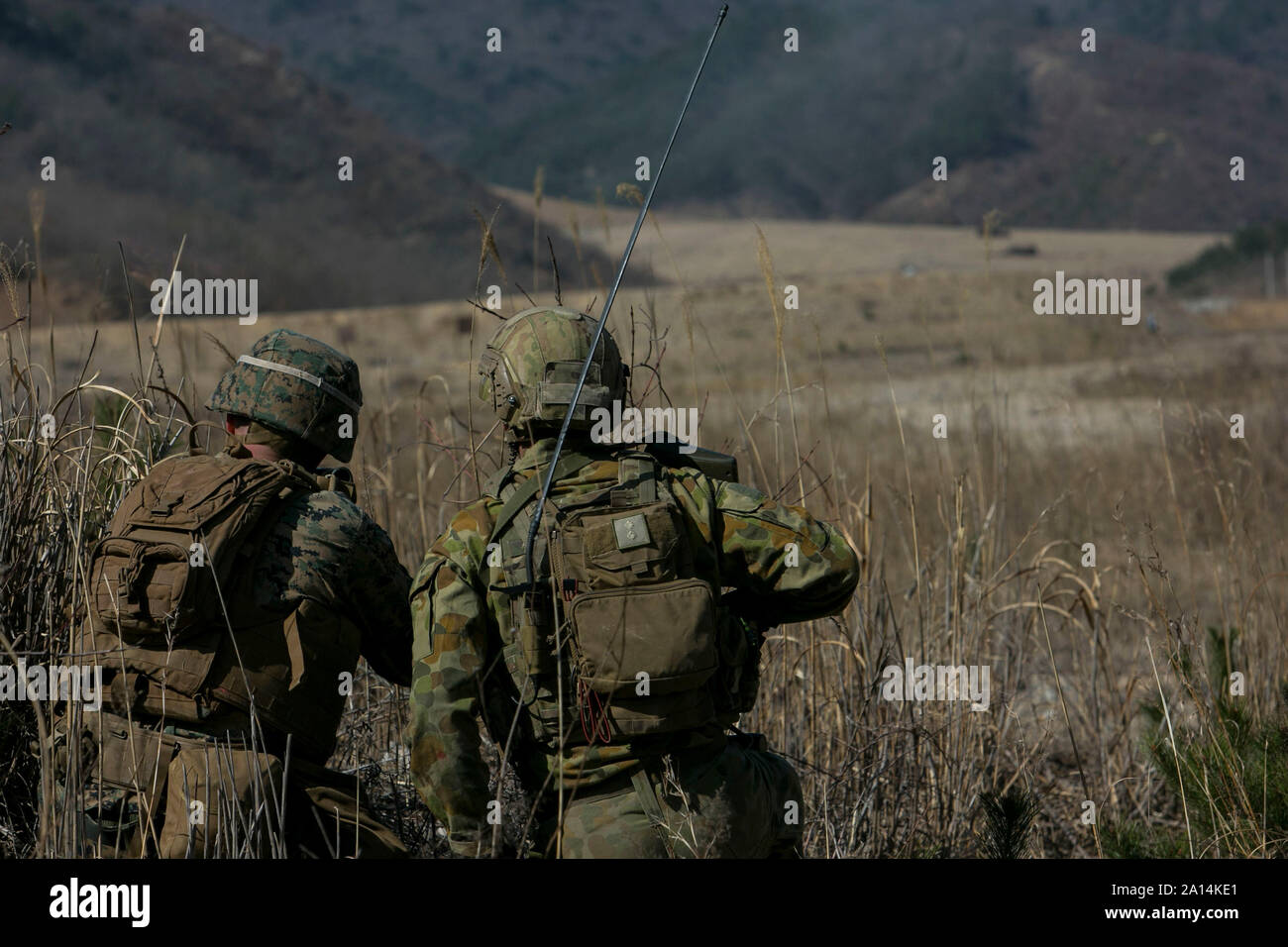A U.S. Marine and Australian soldier conduct a coalition platoon attack ...