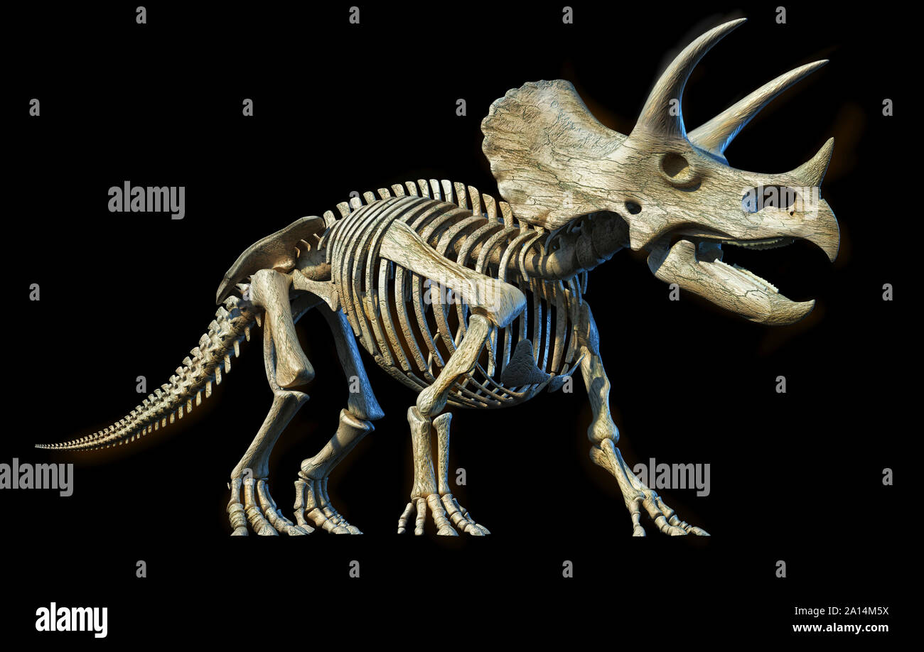3d triceratops dinosaur side view hi-res stock photography and images ...