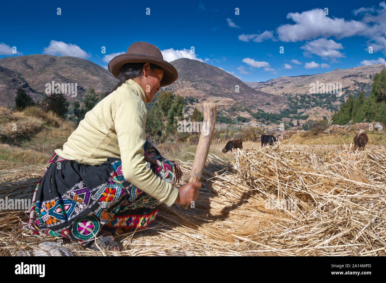 Andean culture hi-res stock photography and images - Alamy