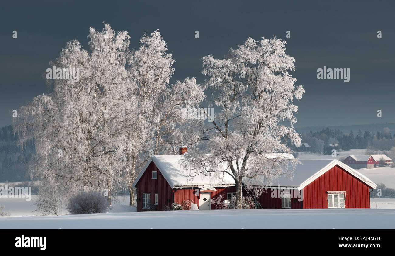 Typical nordic winter landscape hi-res stock photography and images - Alamy