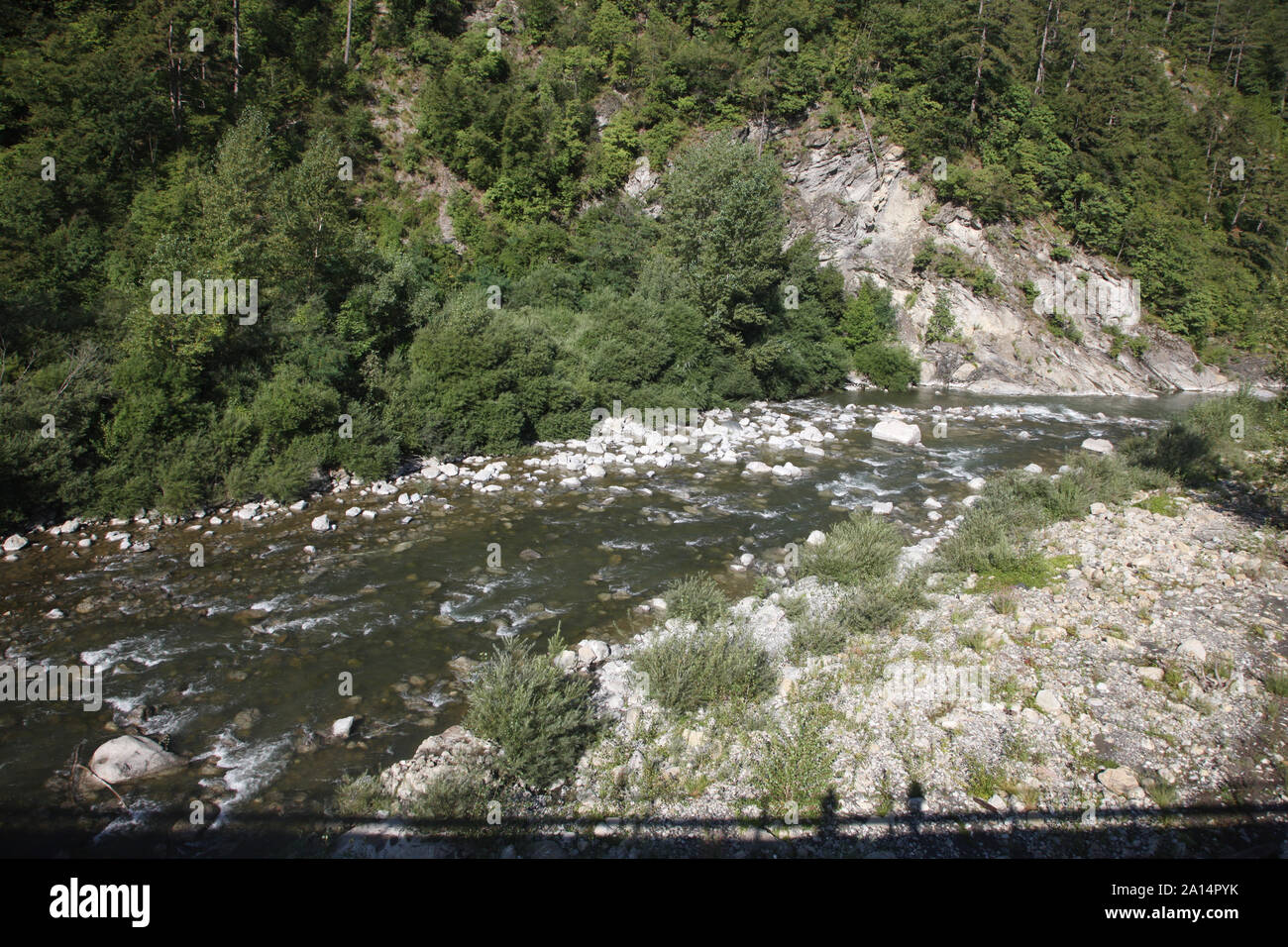 Rapid mountain river with rapids, flowing into the gorge between the ...