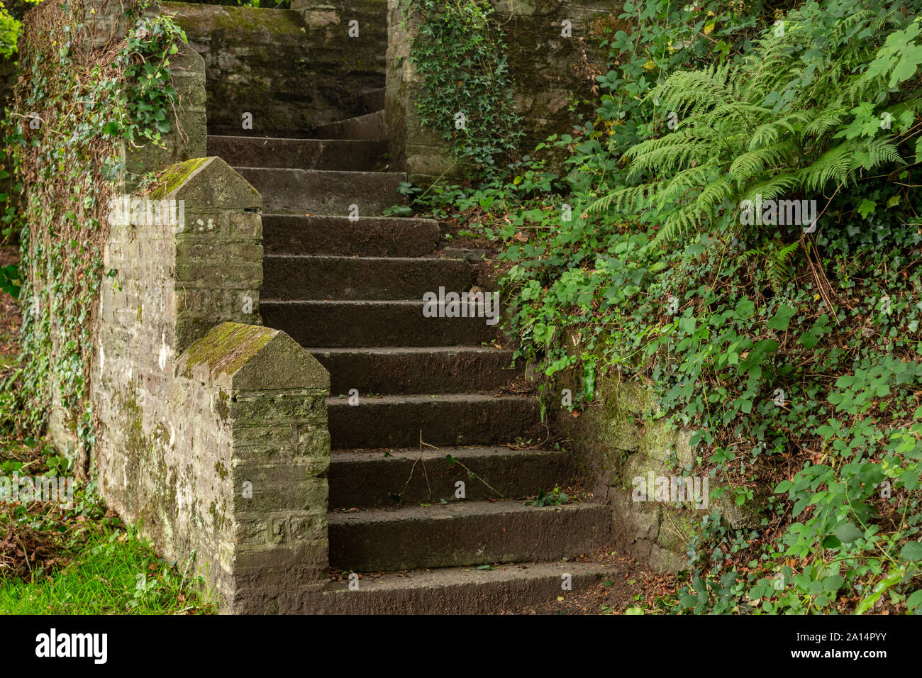 Old stone steps at Tavistock, Devon, England Stock Photo - Alamy