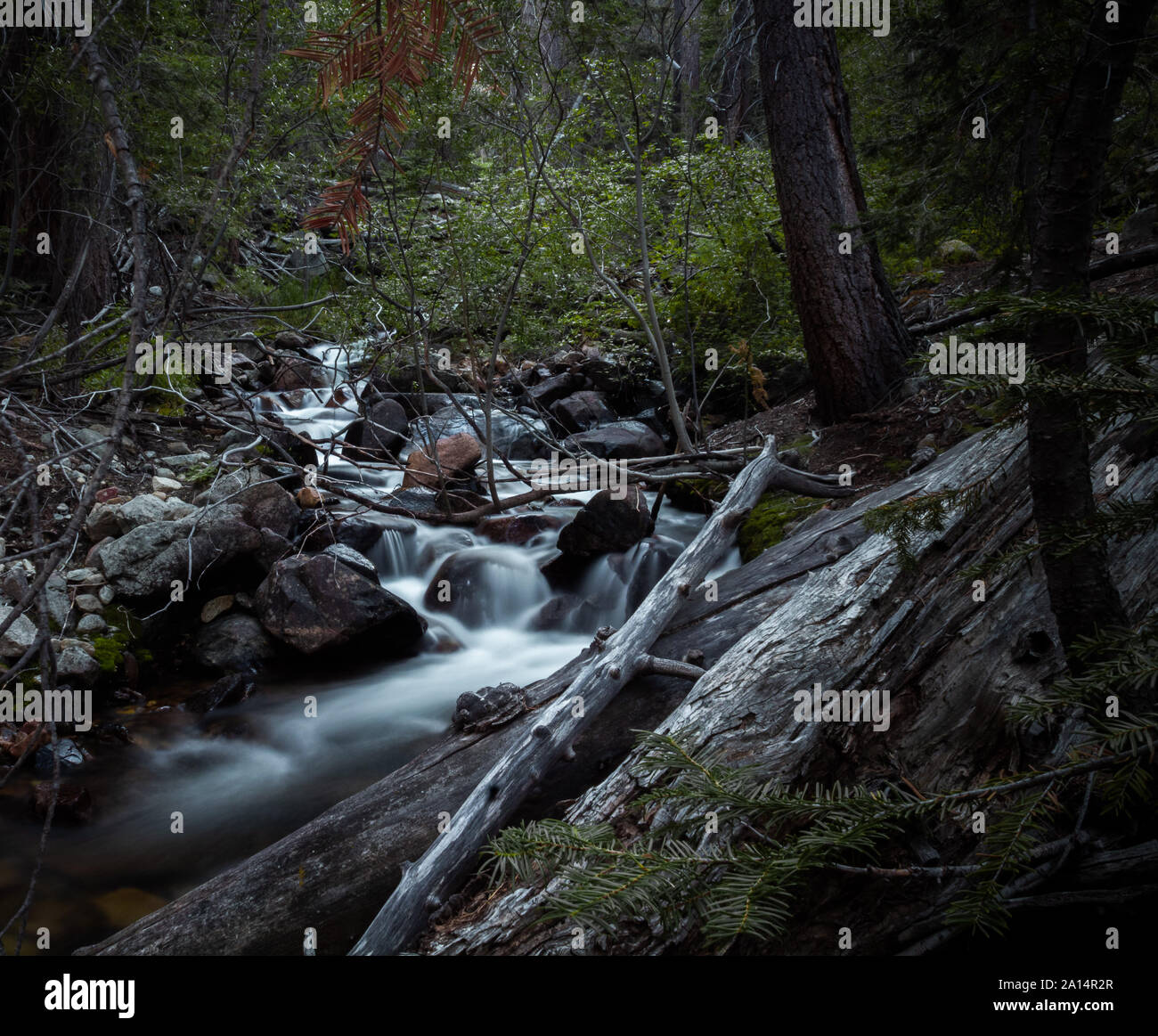 The Creek at Walker Lake in the Sierra Nevada Mountains Stock Photo - Alamy