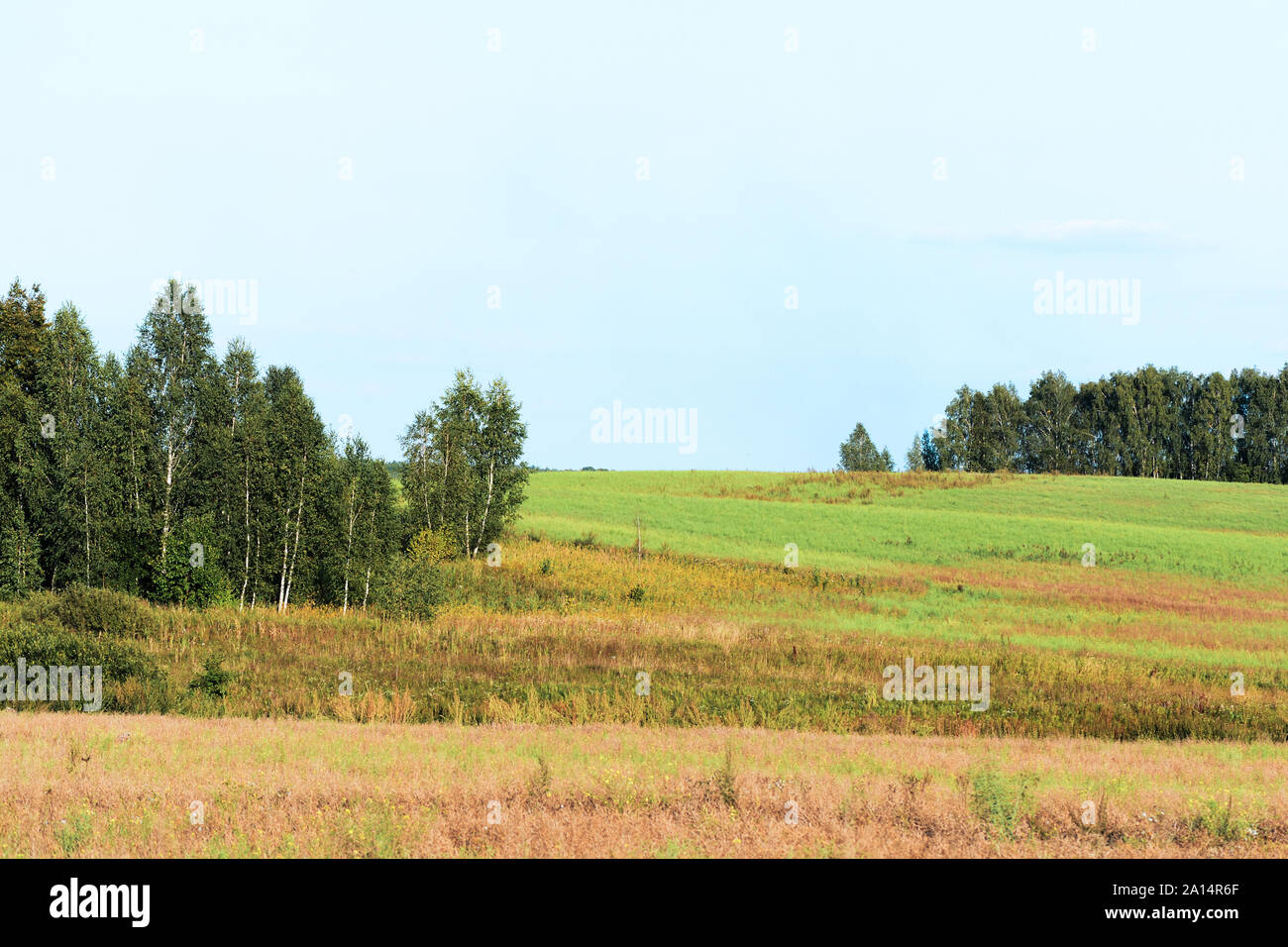 Beautiful countryside landscape - field, sky, trees. Summer rural theme ...