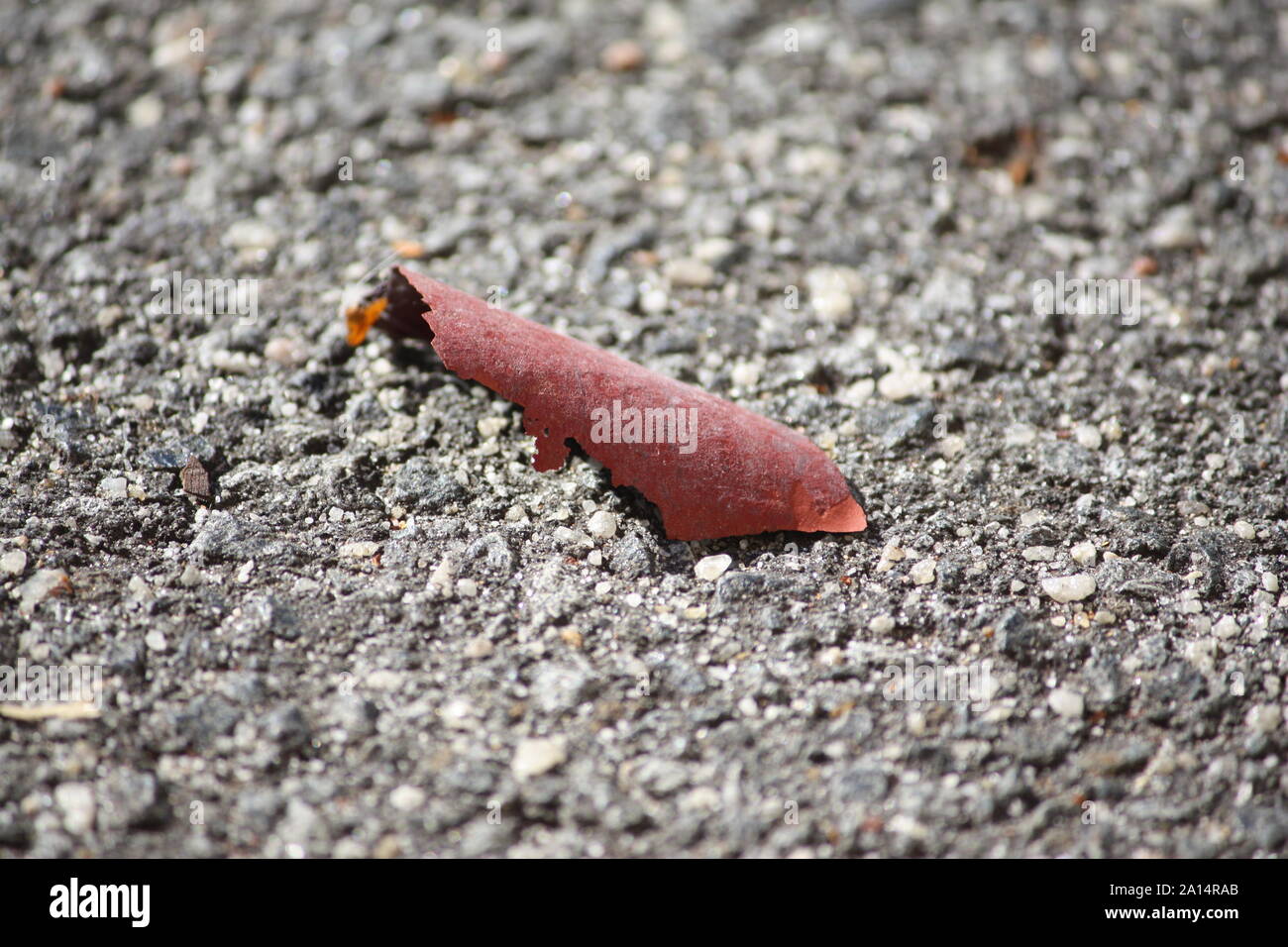 These are from 14/09/2019's photo shoot of Melbourne and surrounding ...