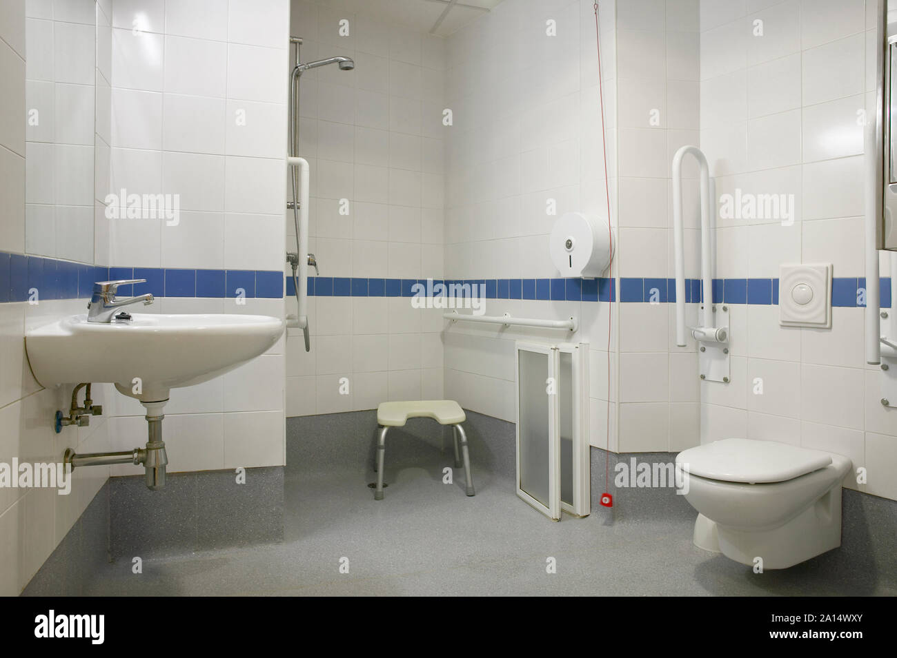 Disabled person bathroom wc with sink toilet and shower Stock Photo - Alamy