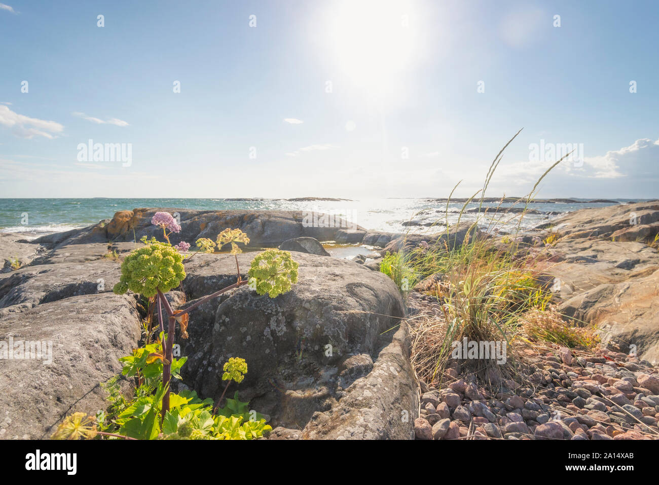 Sea landscape of baltic sea.Finnish archipelago Stock Photo - Alamy