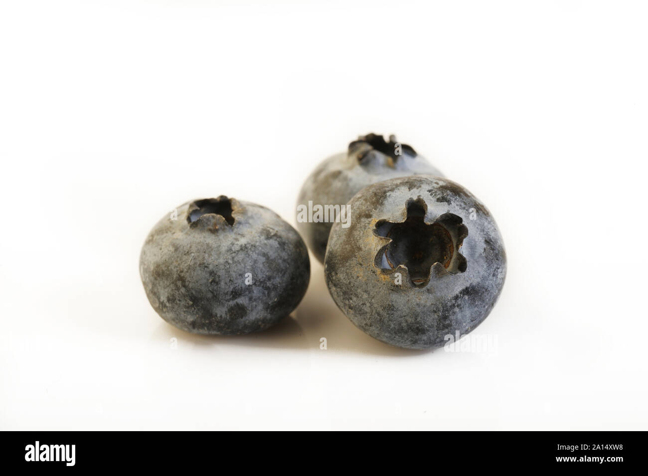 fresh ripe blueberry isolated on white background Stock Photo - Alamy