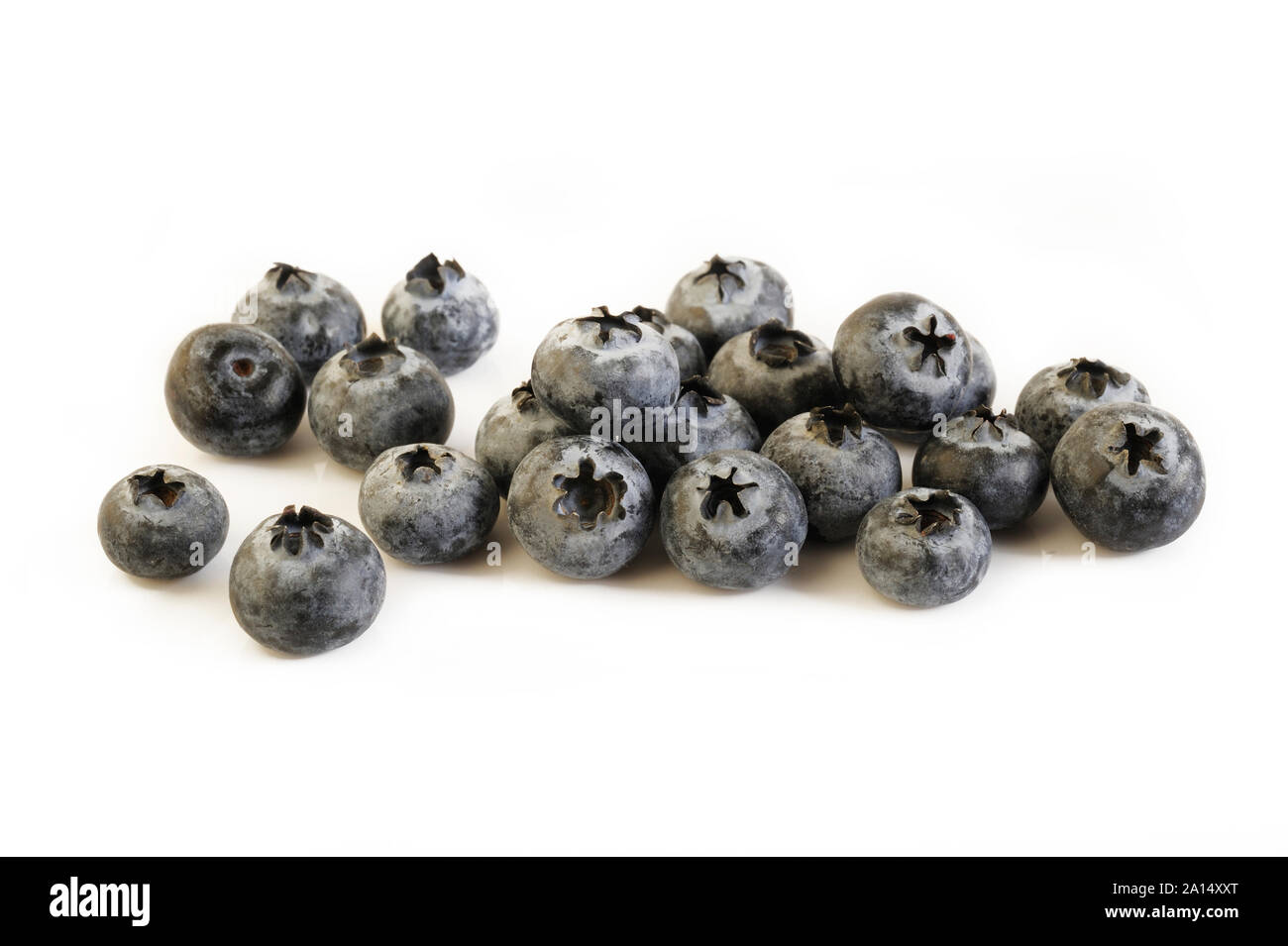 fresh ripe blueberry isolated on white background Stock Photo - Alamy