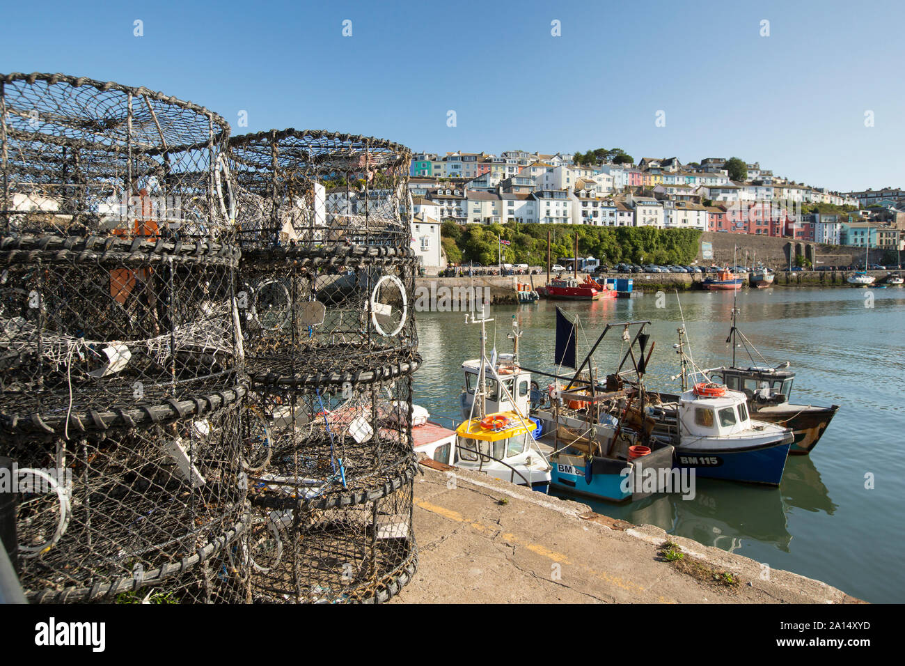 Cuttlefish trap hi-res stock photography and images - Alamy