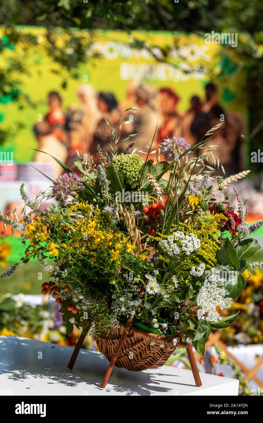 Floristic bouquet of flowers, herbs and fruits that are the symbol of ...