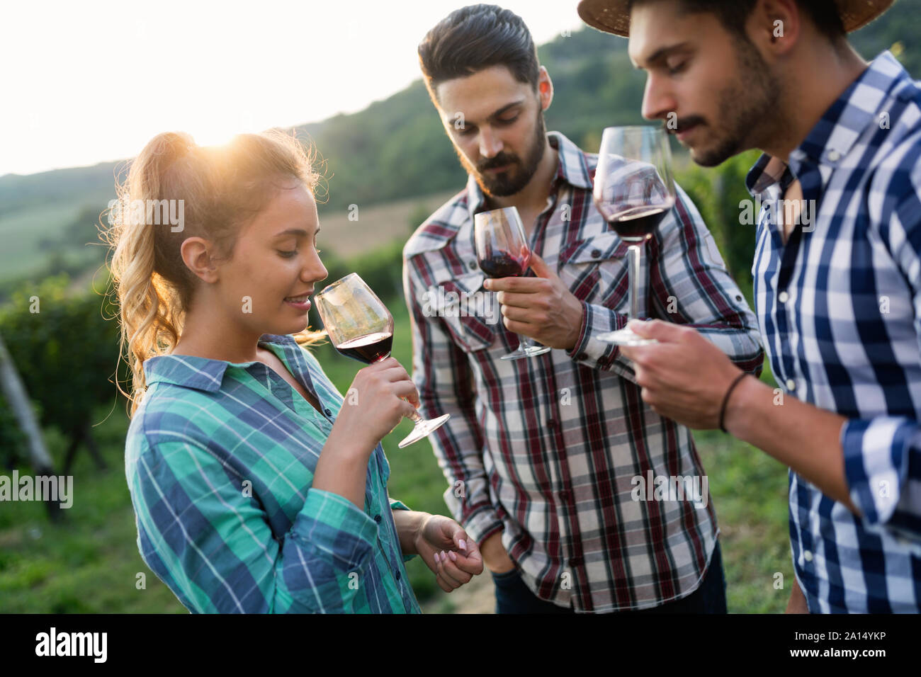 Picture of people tasting red wine in vineyard Stock Photo - Alamy