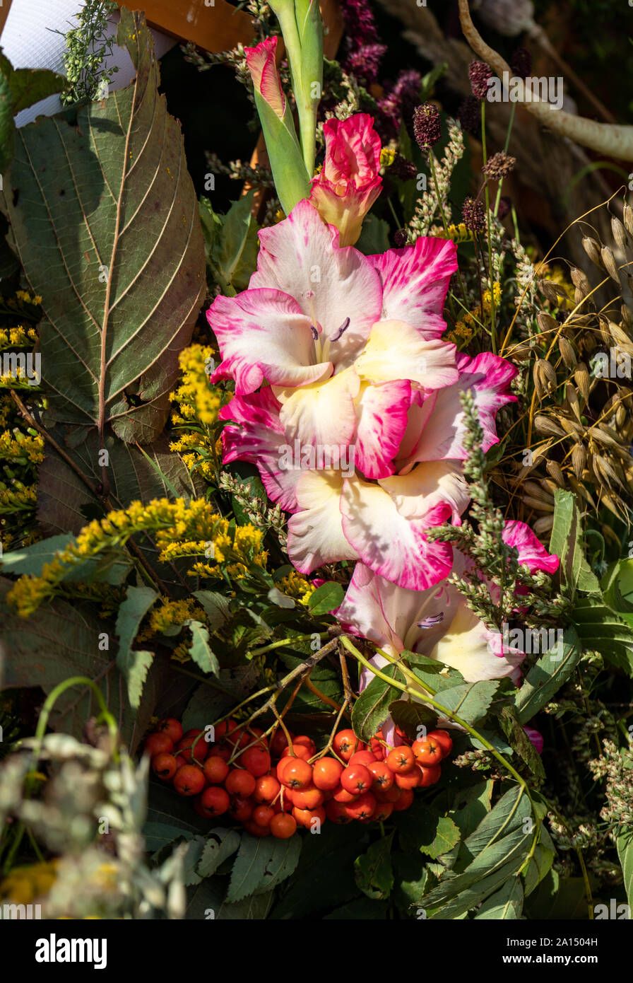 Floristic bouquet of flowers, herbs and fruits that are the symbol of ...