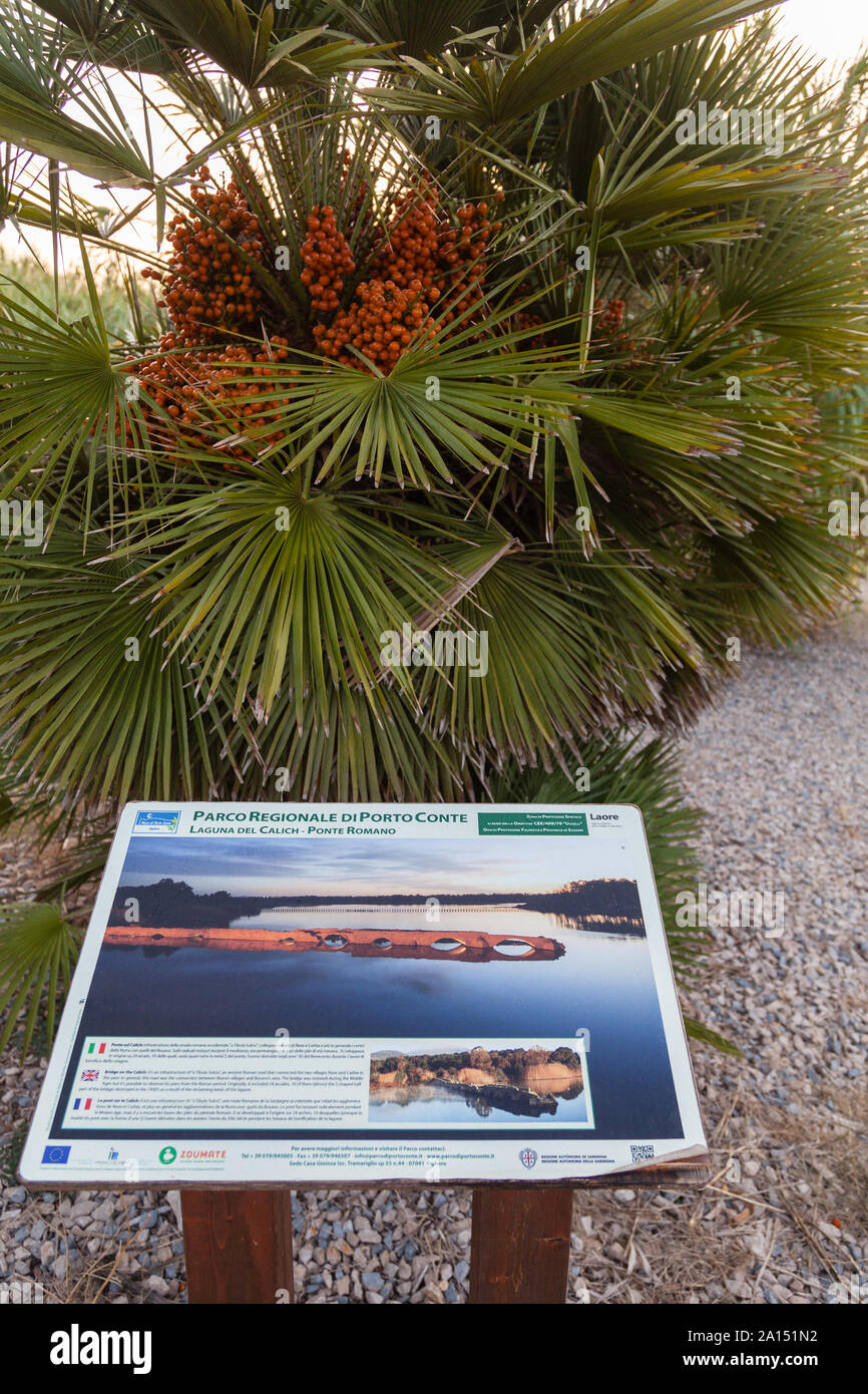 Roman Bridge over the river calich in Northern Sardinia Stock Photo - Alamy