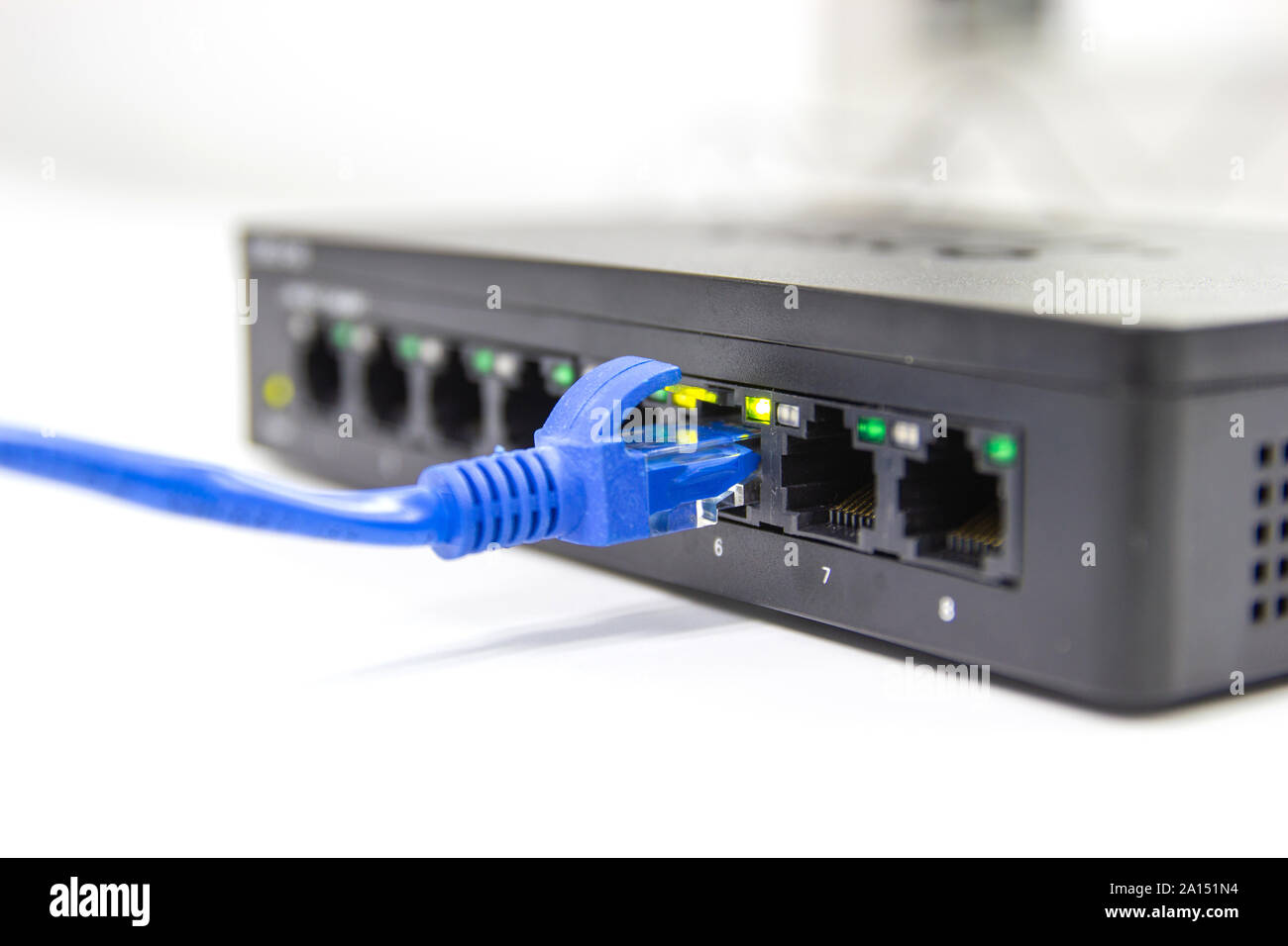 blue cable network cables connected to switch port concept business ...