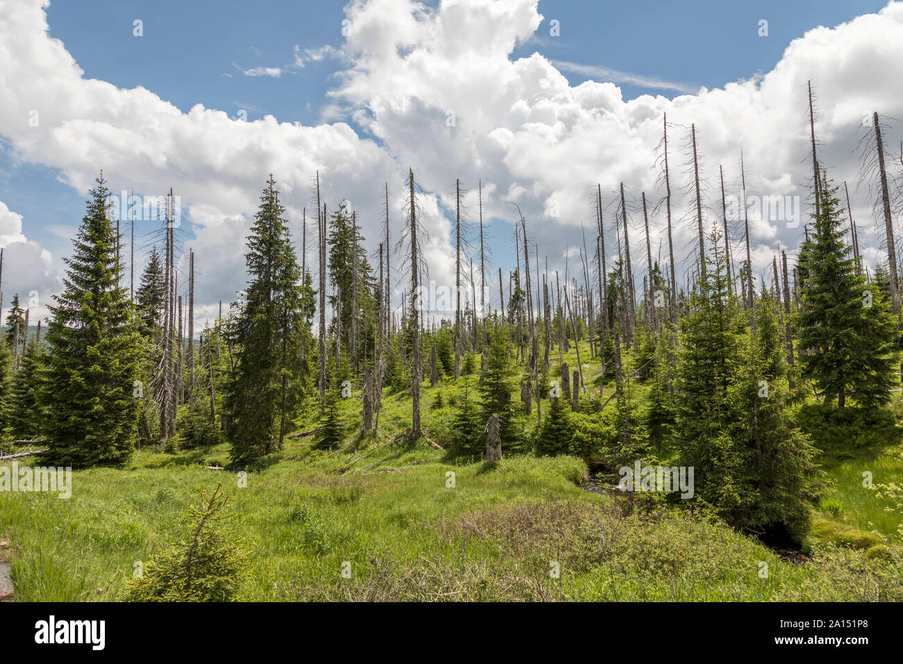 Landschaft im Boehmerwald Stock Photo - Alamy
