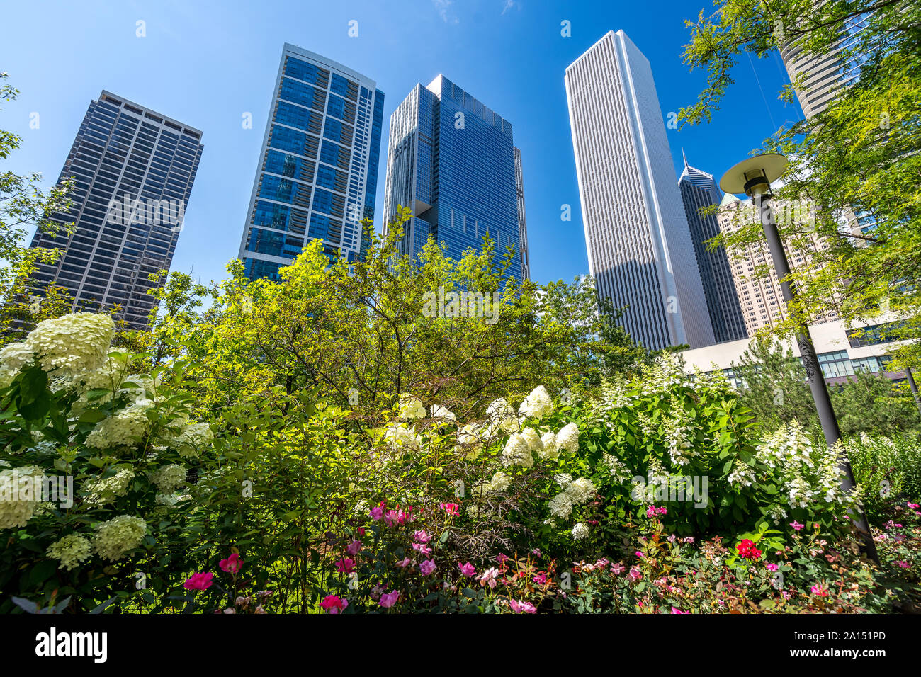 Chicago flowers High Resolution Stock Photography and Images - Alamy