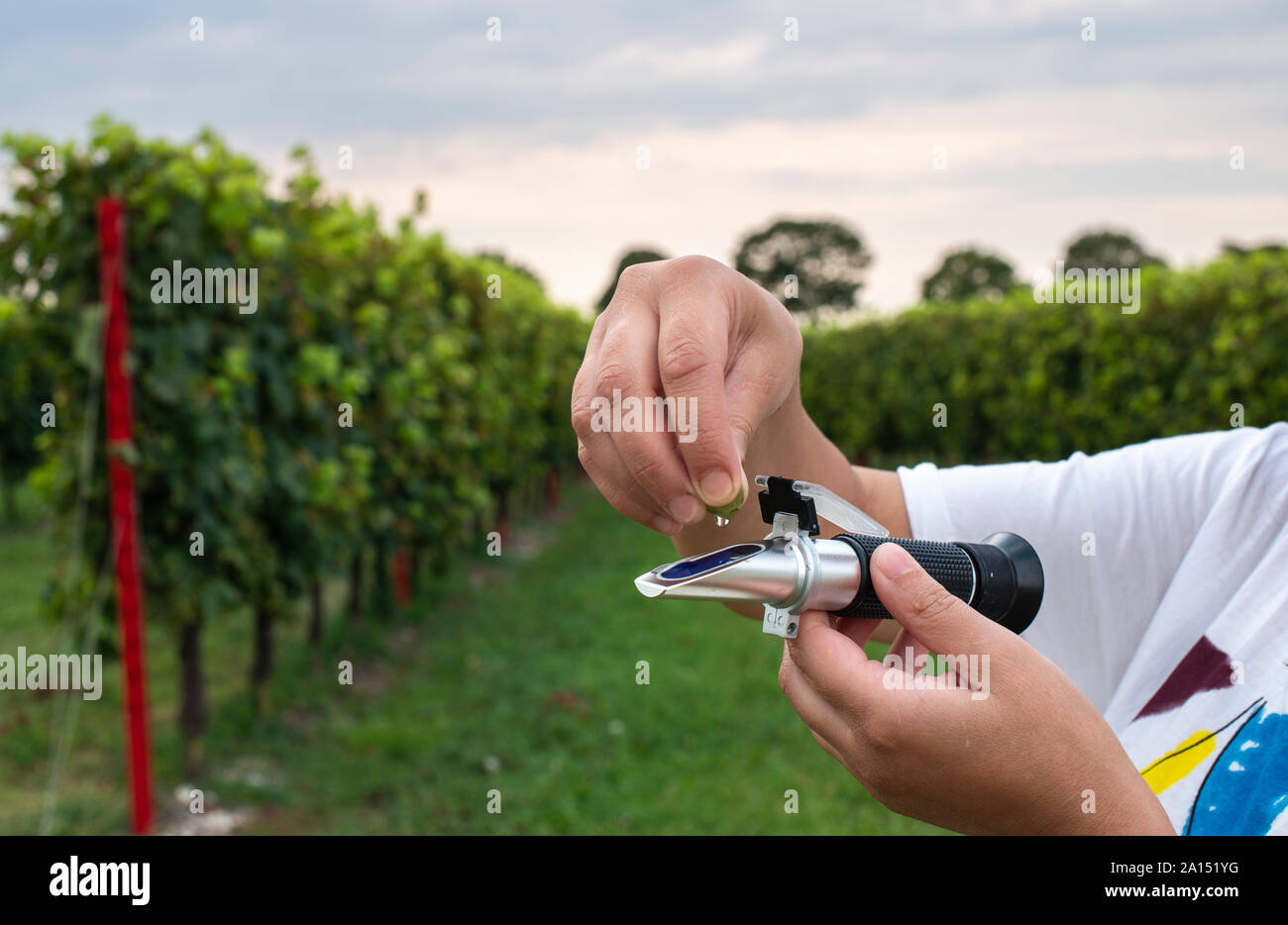Brix refractometer hi-res stock photography and images - Alamy