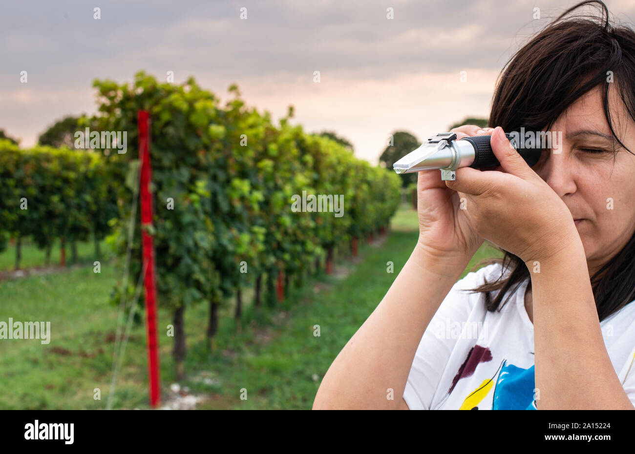 Brix meter hi-res stock photography and images - Alamy