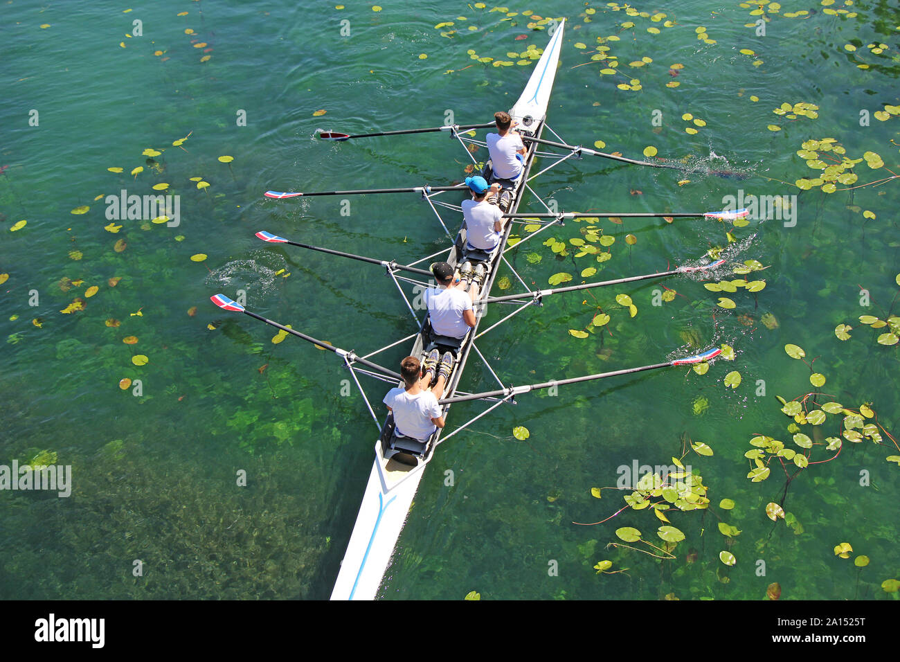 Green rowing boat on water hi-res stock photography and images - Alamy