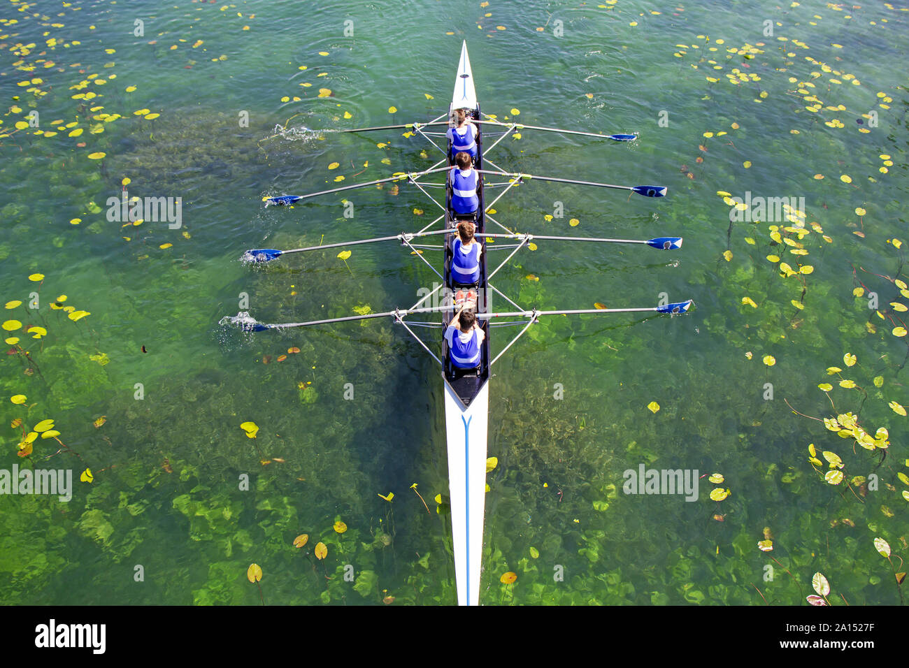 Men's quadruple rowing team on green water, top view Stock Photo - Alamy
