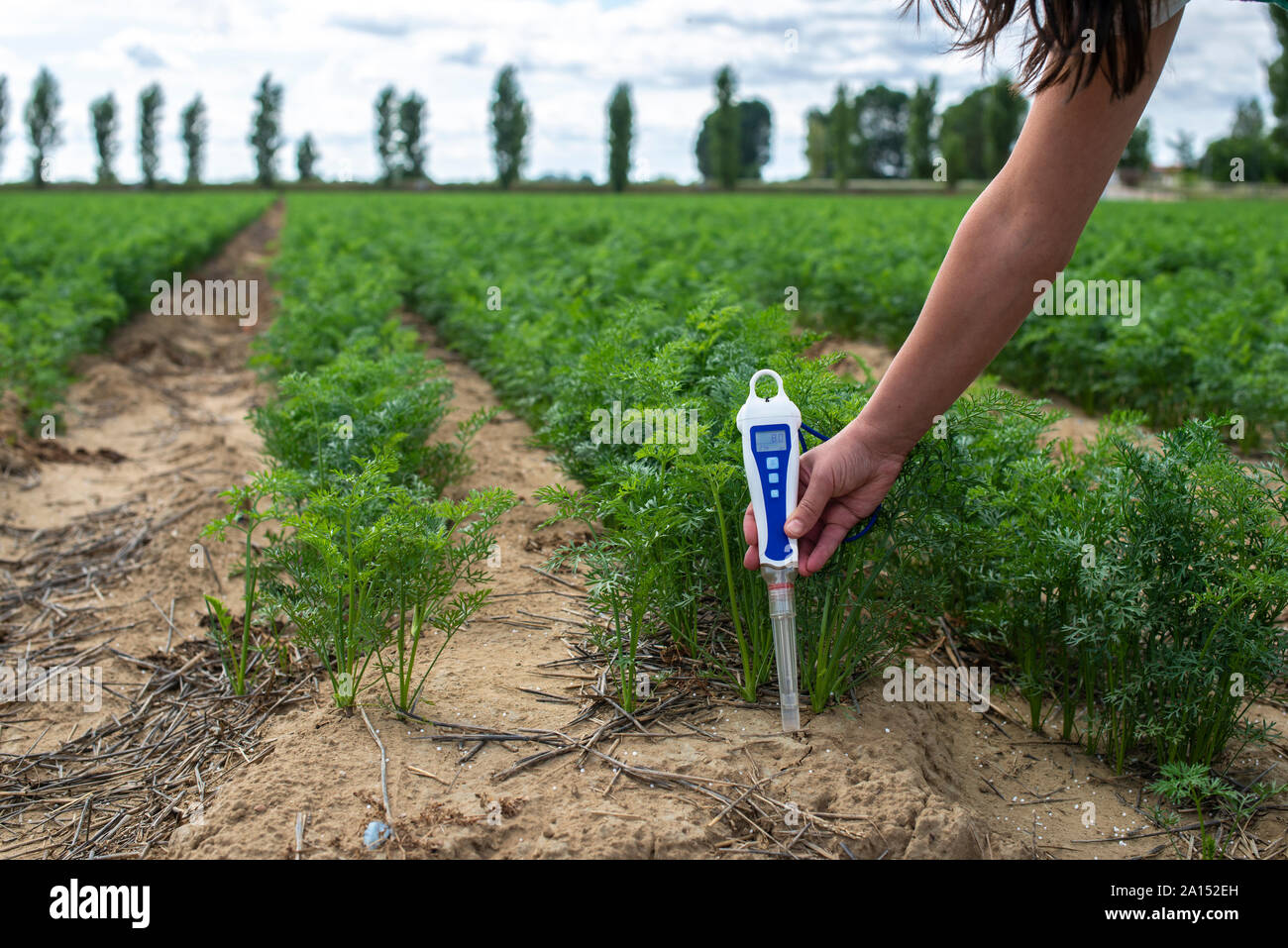 Measure soil with digital device. Green plants and woman farmer measure ...