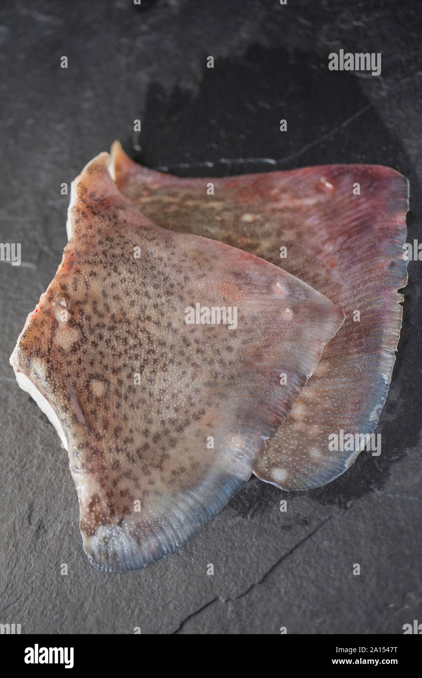 Thornbacked ray hi-res stock photography and images - Alamy
