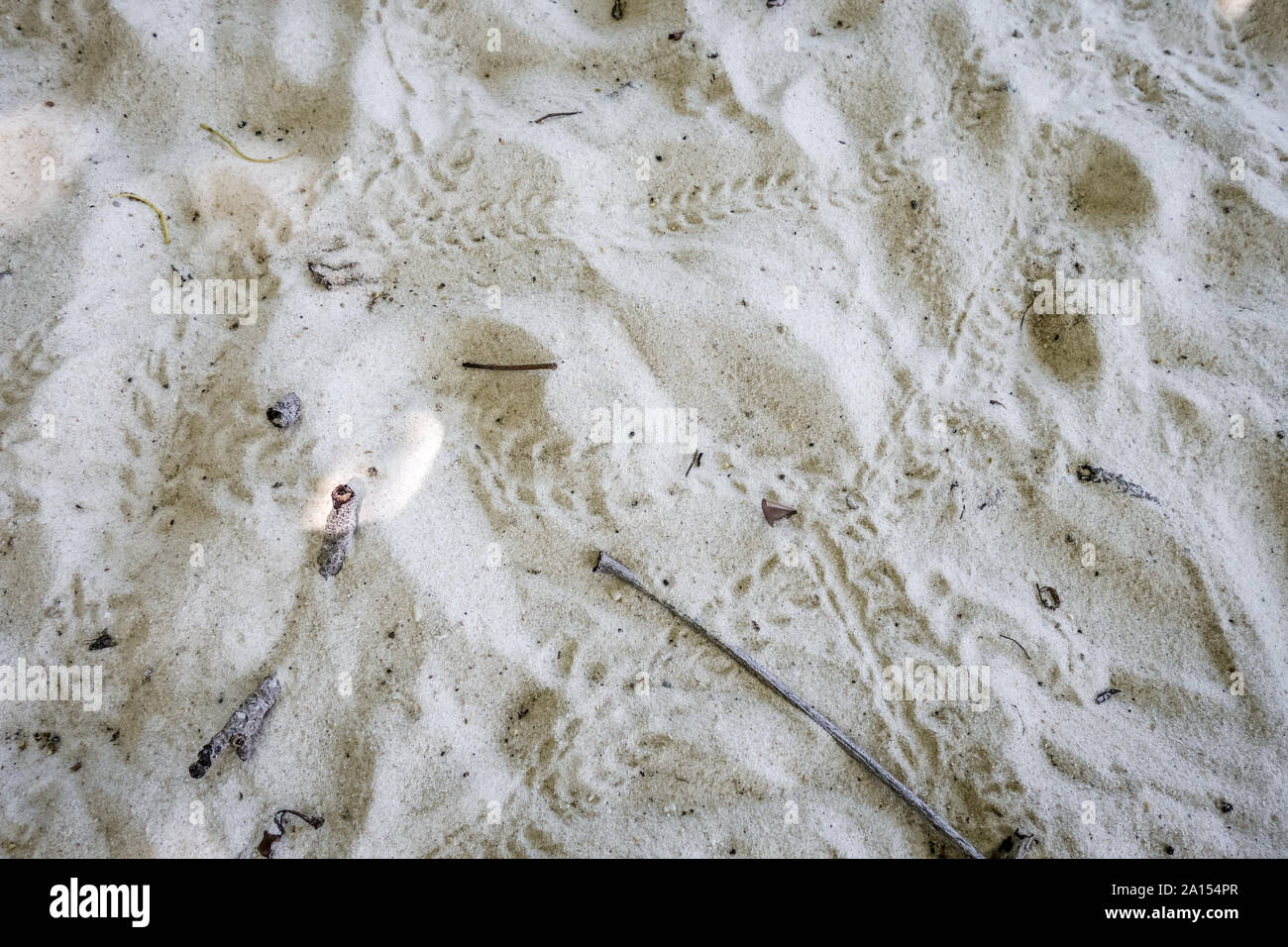 Baby footprints sand hi-res stock photography and images - Alamy