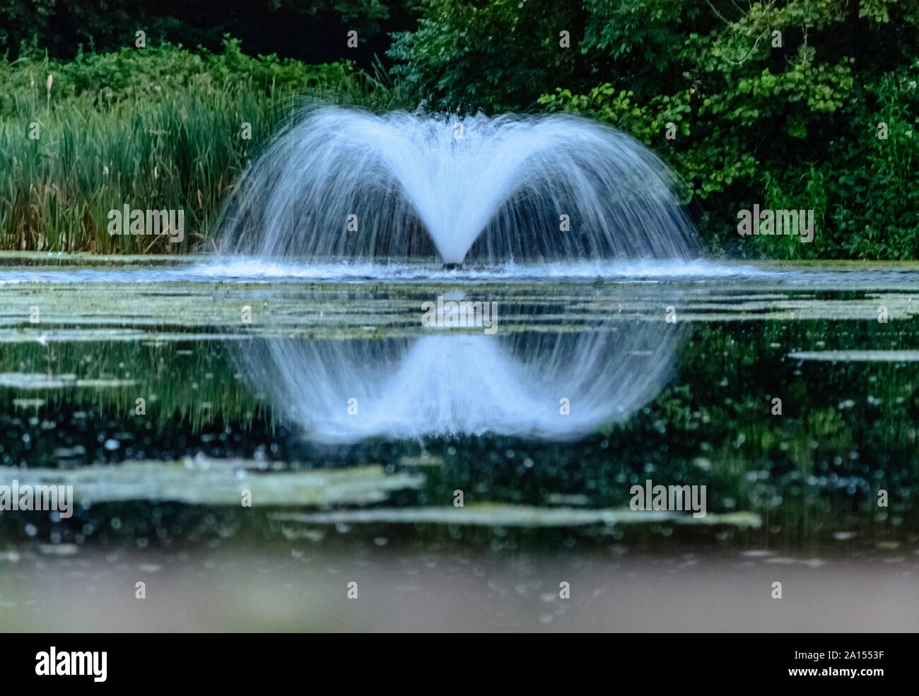 reflection of a fountain in a beautiful pond in a beautiful morning in ...
