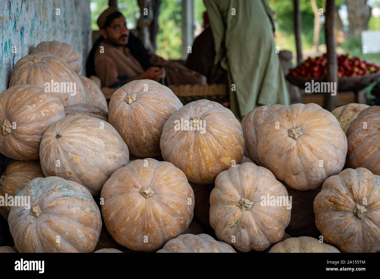 Thanksgiving vegetable hi-res stock photography and images - Alamy