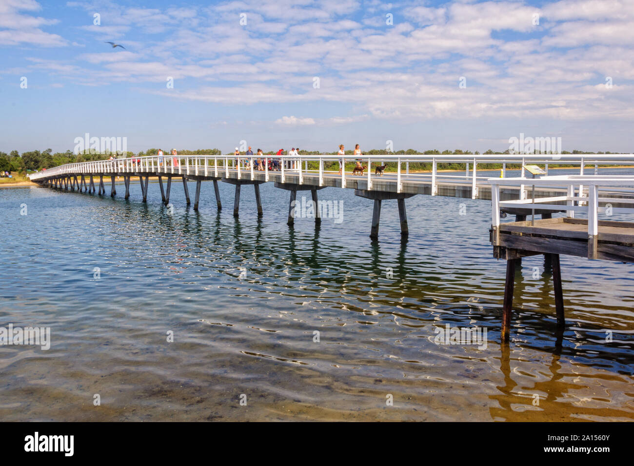 Cunninghame Arm Footbridge between the Esplanade and the beach - Lakes ...