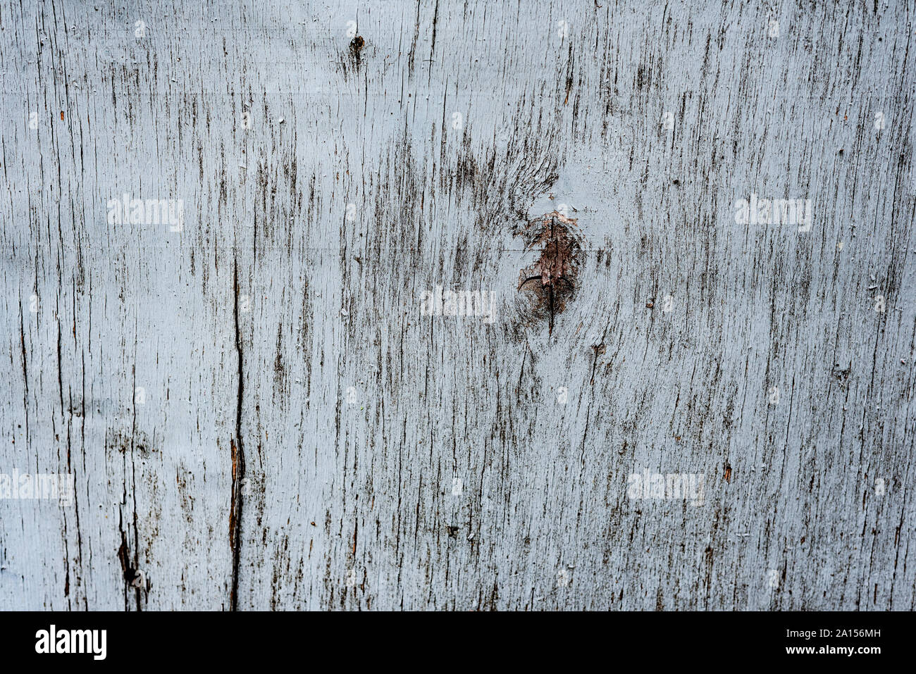 Texture, wood, wall, it can be used as a background. Wooden texture ...