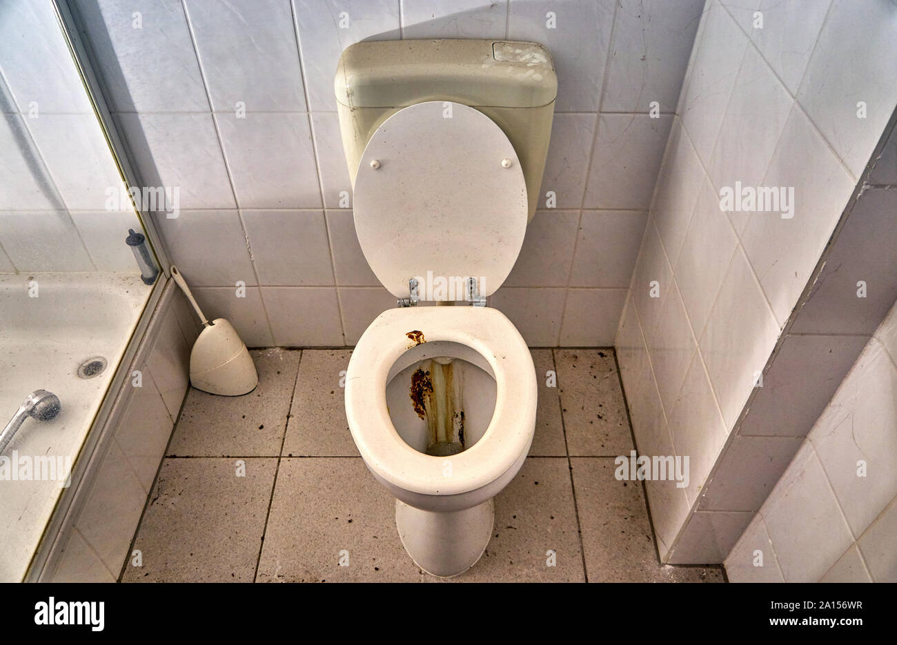 Toilet stained with feces and urine Stock Photo - Alamy
