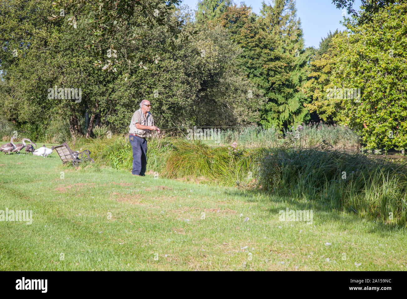 Fisherman fly fishing at Avington Trout Fishery, Winchester, Hampshire ...