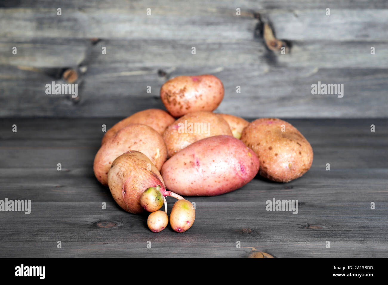 Misshapen potato hi-res stock photography and images - Alamy