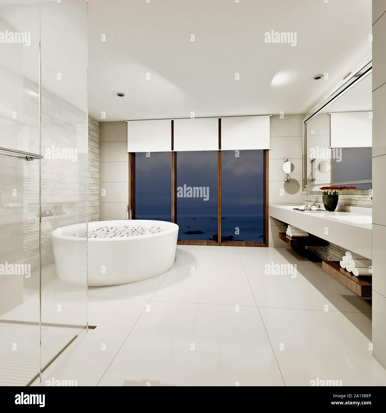 Bathroom interior view toilet hi-res stock photography and images - Alamy