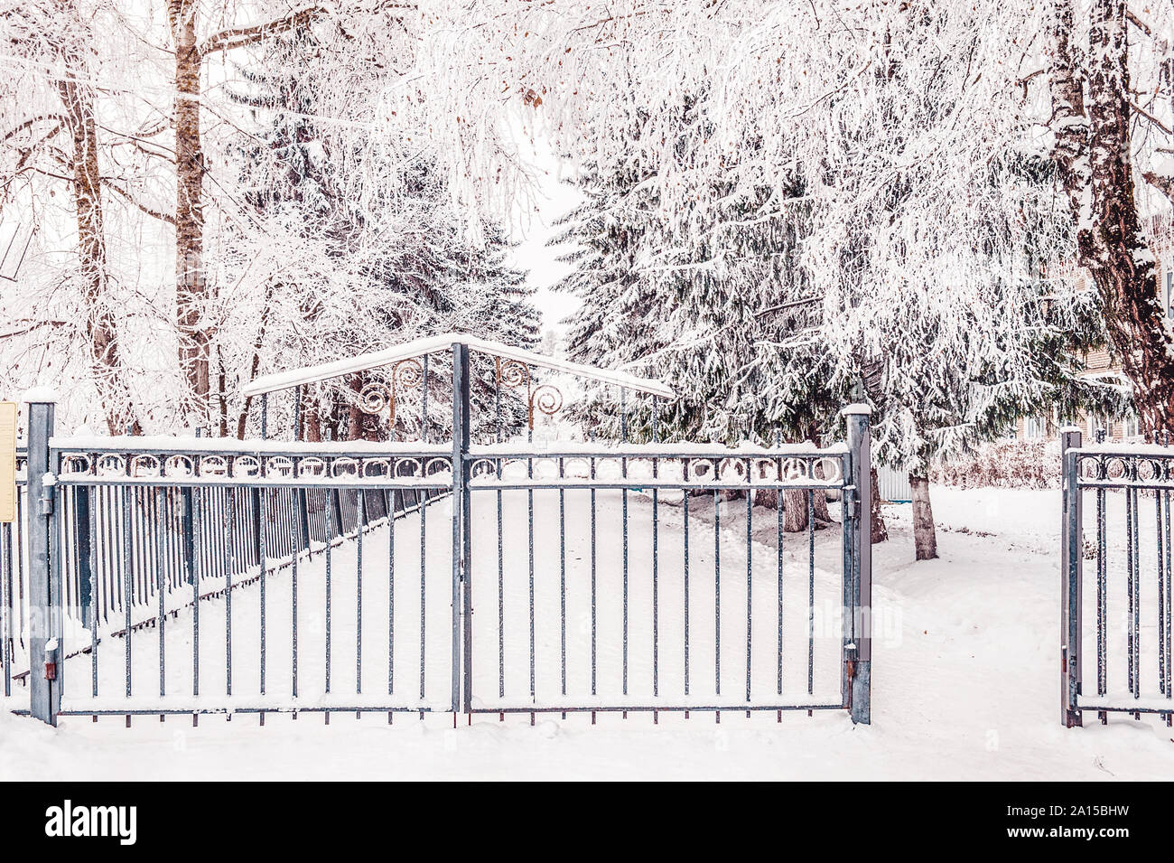 Metal fence with entrance gate along the snow-covered path. Winter Snow ...