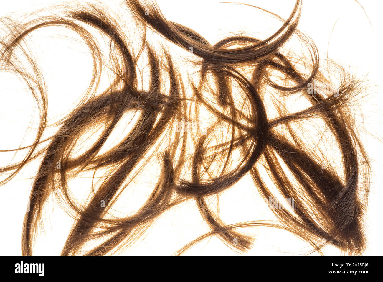 Pile of cut out woman hair, isolated on white background Stock Photo ...