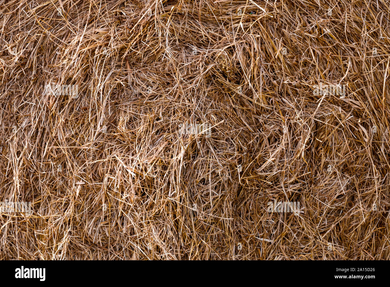 540 bio hi-res stock photography and images - Alamy