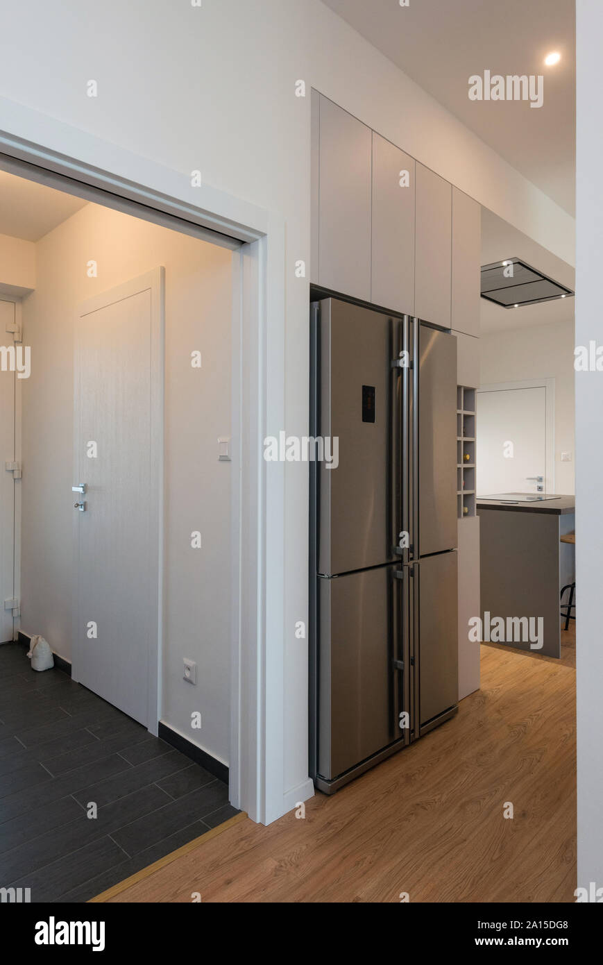 Interior of contemporary kitchen with built-in fridge Stock Photo - Alamy