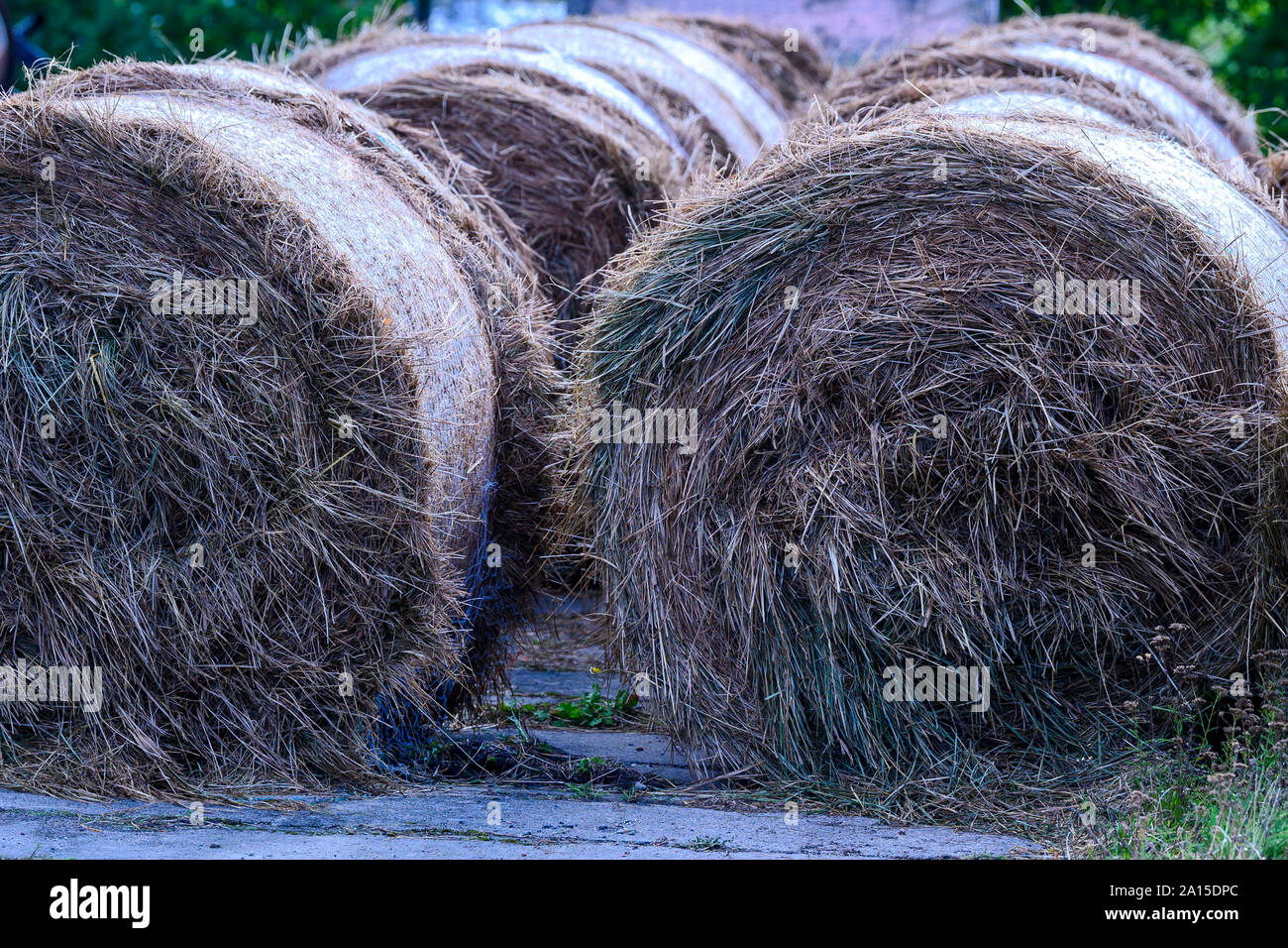 540 bio hi-res stock photography and images - Alamy