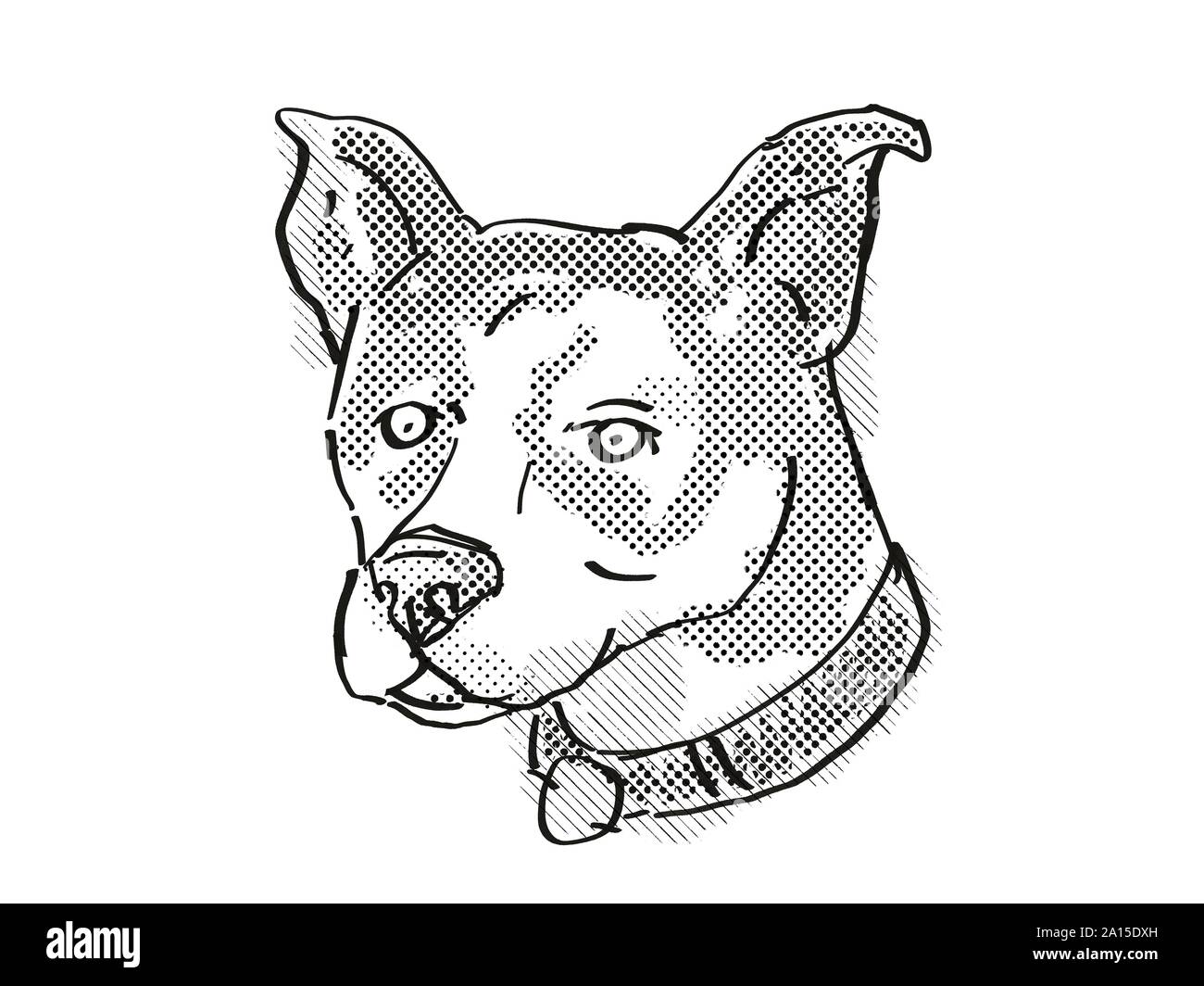 Retro cartoon style drawing of head of a Canaan Dog, a domestic dog or ...