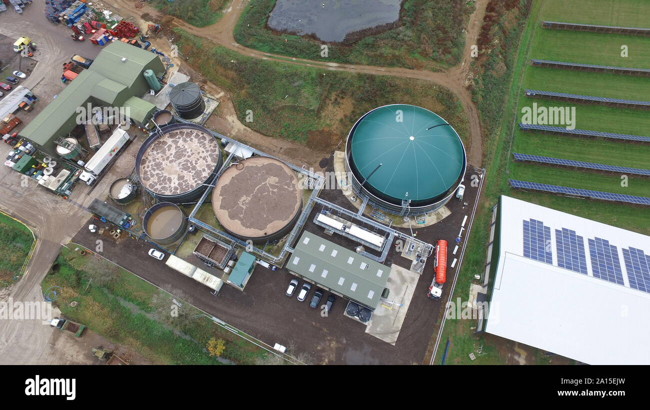 Ad plant hi-res stock photography and images - Alamy