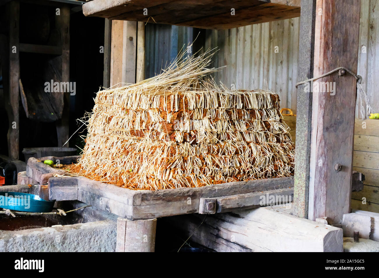 A traditional nineteenth century cider press in use complete with a ...