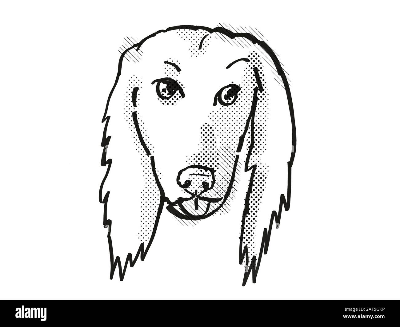 Retro cartoon style drawing of head of an Afghan Hound, a domestic dog ...