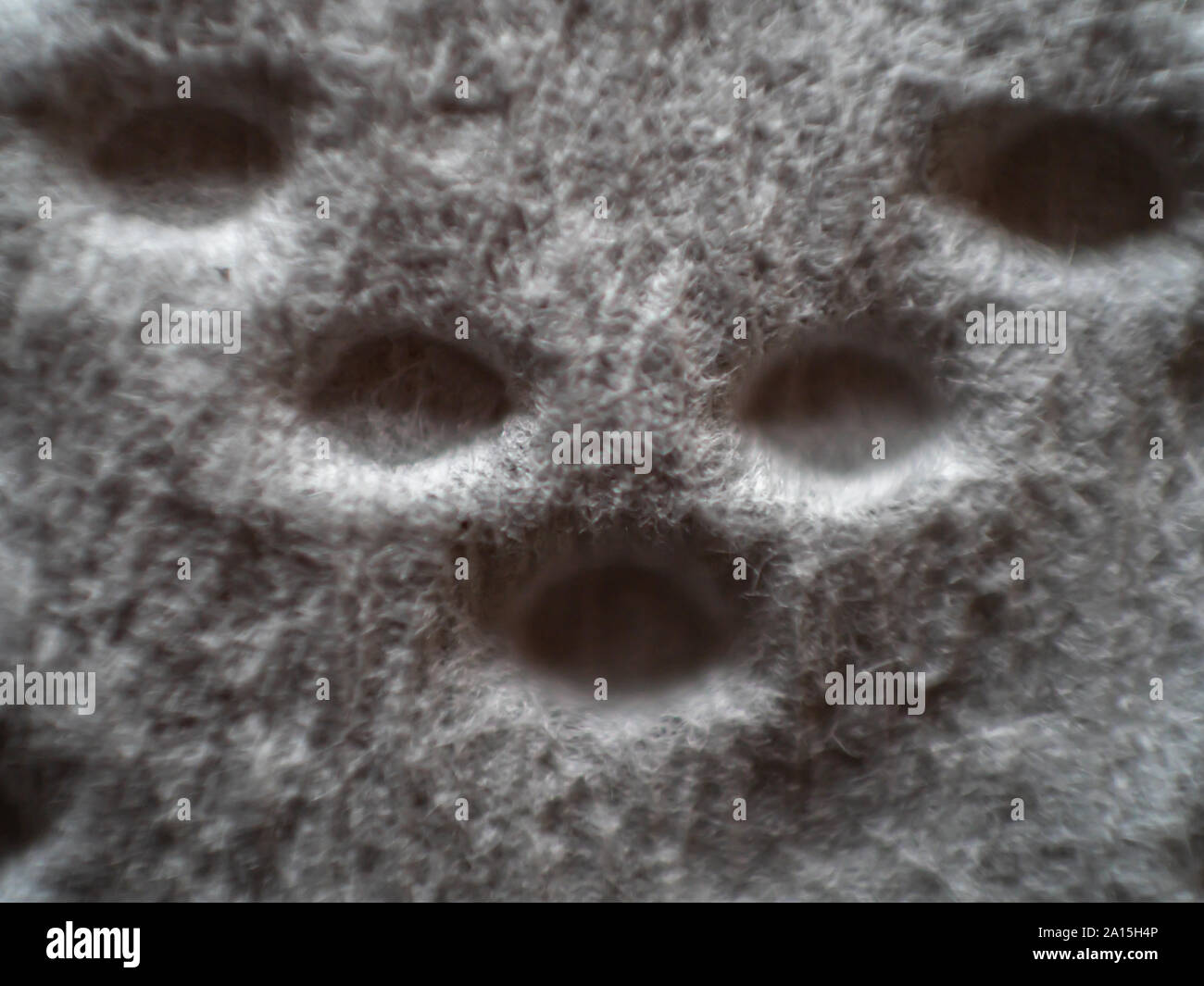 Extreme close up of perforations on kitchen paper Stock Photo - Alamy