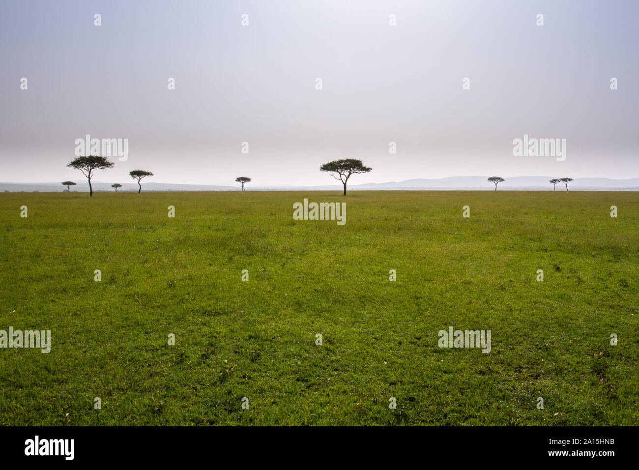 Grassy plains hi-res stock photography and images - Alamy