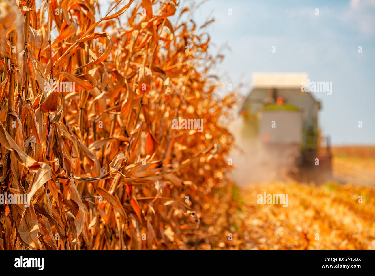 Combine harvester corn hi-res stock photography and images - Alamy